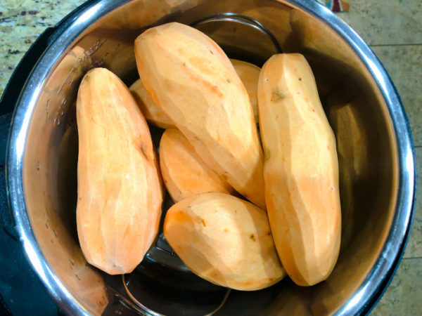 Frozen Mashed Sweet Potato Packs – Make Your Own – 90/10 Nutrition